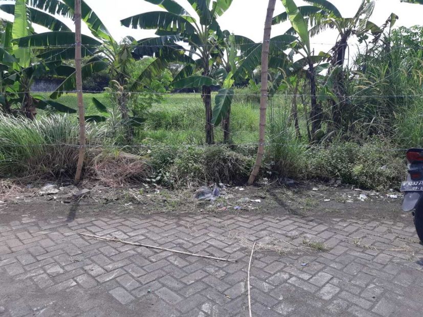 Jual Tanah Kawasan Pergudangan Ragam Jemundo Taman Sidoarjo Jual Tanah Kawasan Pergudangan Ragam Jemundo Taman Sidoarjo