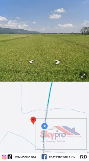 DIJUAL Tanah Sawah produktif di Jelekong Baleendah, Kab. Bandung DIJUAL Tanah Sawah produktif di Jelekong Baleendah, Kab. Bandung
