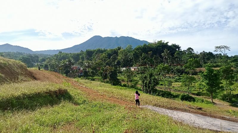 Tanah SHM murah di puncak Bogor berkontur unik Tanah SHM murah di puncak Bogor berkontur unik