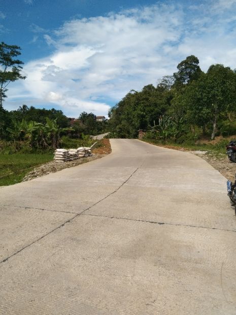 DIJUAL MURAH MERIAH TANAH SAWAH PRODUKTIF DIJUAL MURAH MERIAH TANAH SAWAH PRODUKTIF