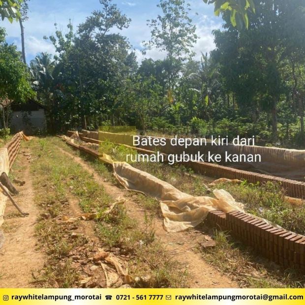 Dijual Tanah di Jl. Katibung Raya Pardasuka Lamsel (Kode Zc1393) Dijual Tanah di Jl. Katibung Raya Pardasuka Lamsel (Kode Zc1393)