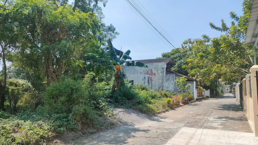 Jual Tanah Pekarangan Dekat Kampus UGM Cocok Untuk Kost di Plemburan Jual Tanah Pekarangan Dekat Kampus UGM Cocok Untuk Kost di Plemburan